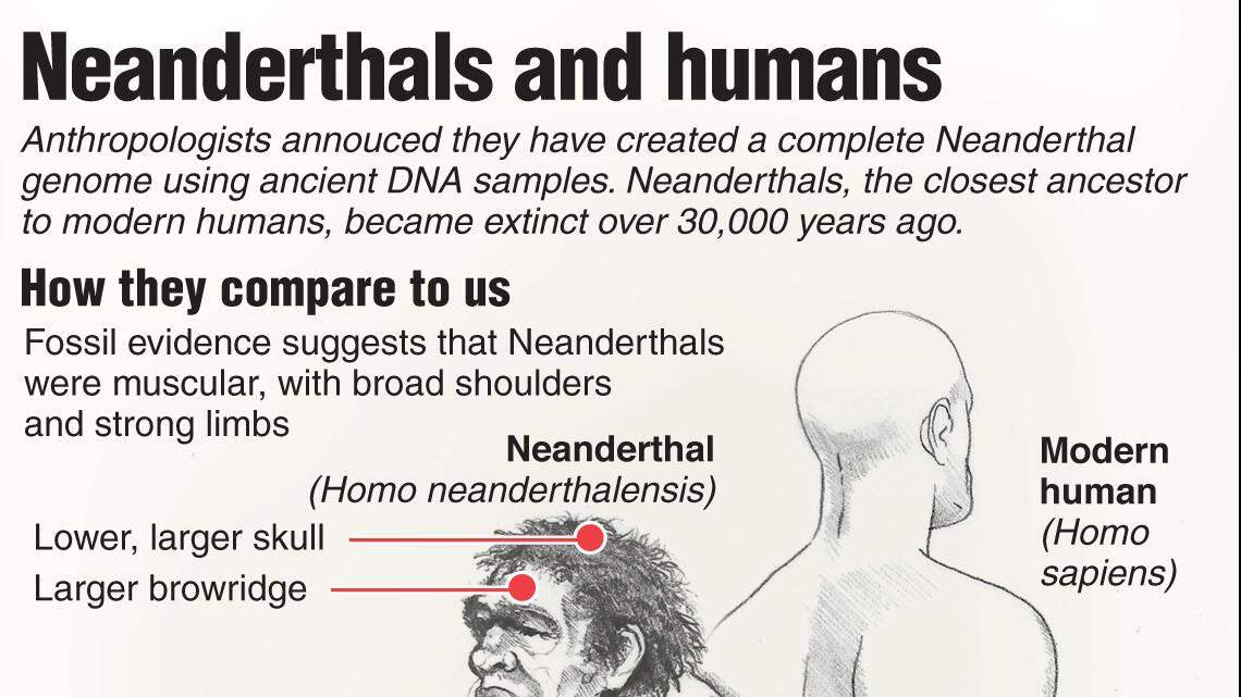 How broken arm led scientists to genome of Neanderthals | McClatchy ...